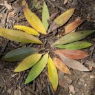 30+ Fun Activities for Kids to Play in the Dirt | Hands On As We Grow®