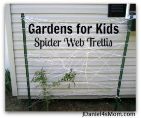 Spider Web Trellis from JDaniel4's Mom