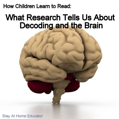 How Children Learn to Read from Stay At Home Educator