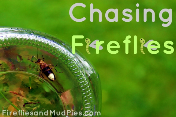 Chasing Fireflies from Fireflies and Mud Pies