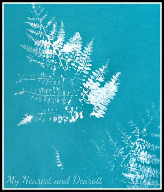 Fern Prints from My Nearest and Dearest