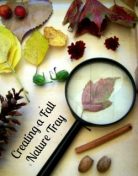 Create a Fall Nature Tray from Edventures with Kids
