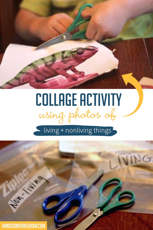 Living and Nonliving Things Activity Sort Collage | Hands On As We Grow®
