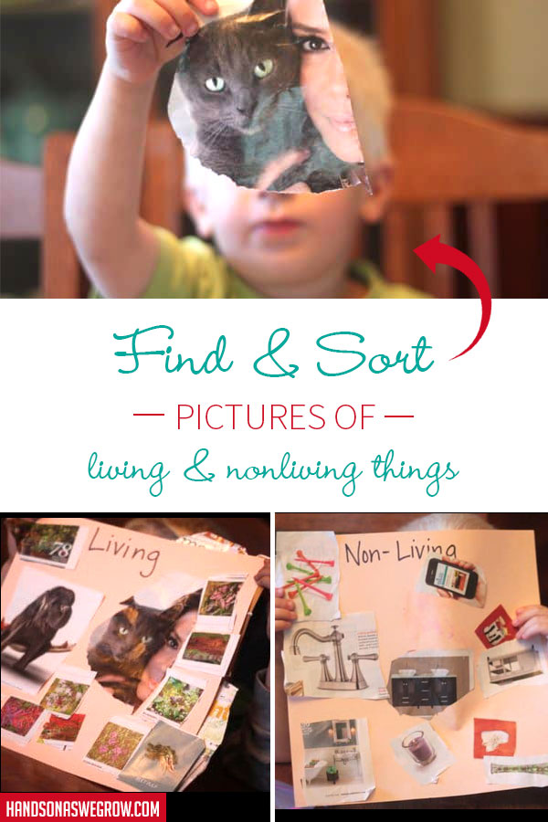 Living and Nonliving Things Activity Sort Collage | Hands On As We Grow®
