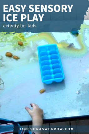Scented Ice Sensory Play: An Easy Activity for Kids | HOAWG