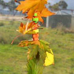 42 Stunning Leaf Crafts for Kids to Make - Hands On As We Grow®