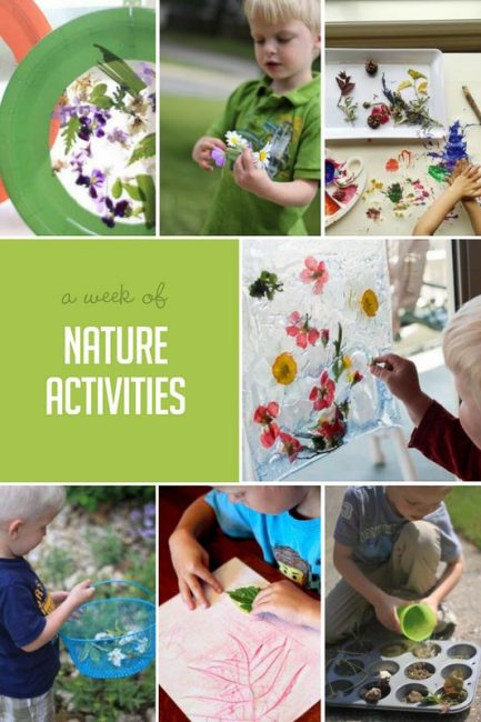 A Week of Nature Activities to Do - Hands On As We Grow®