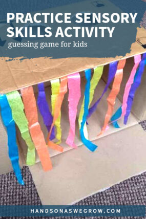 Guessing Box: Simple DIY What's in the Box Sensory Game | HOAWG