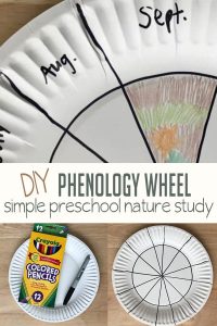 DIY Phenology Wheel for a Simple Preschool Nature Study | HOAWG