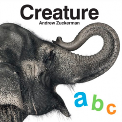 13 Alphabet Books to Read with Preschoolers & Toddlers | HOAWG