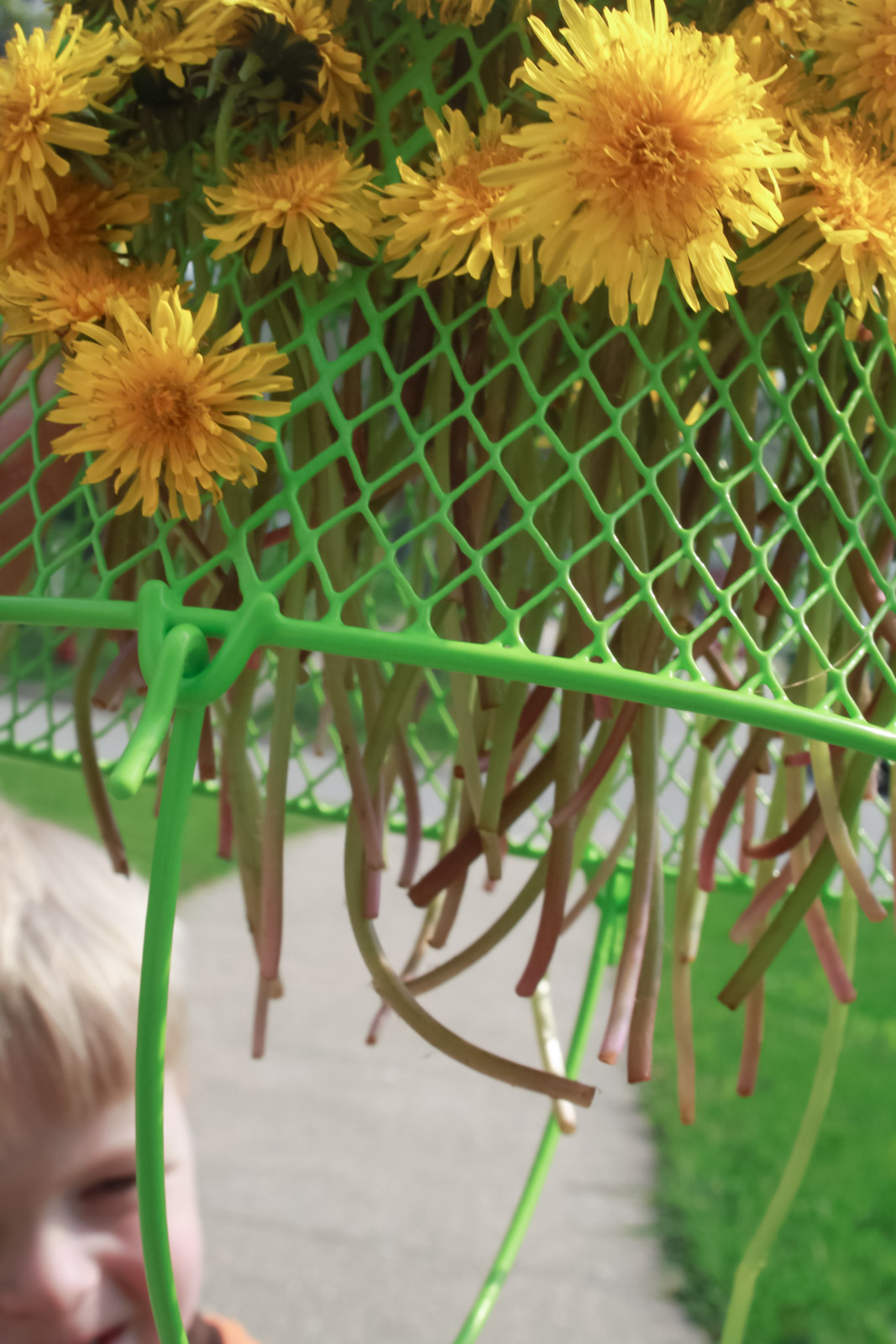 Dandelion Activity Fine Motor Threading | Hands On As We Grow®