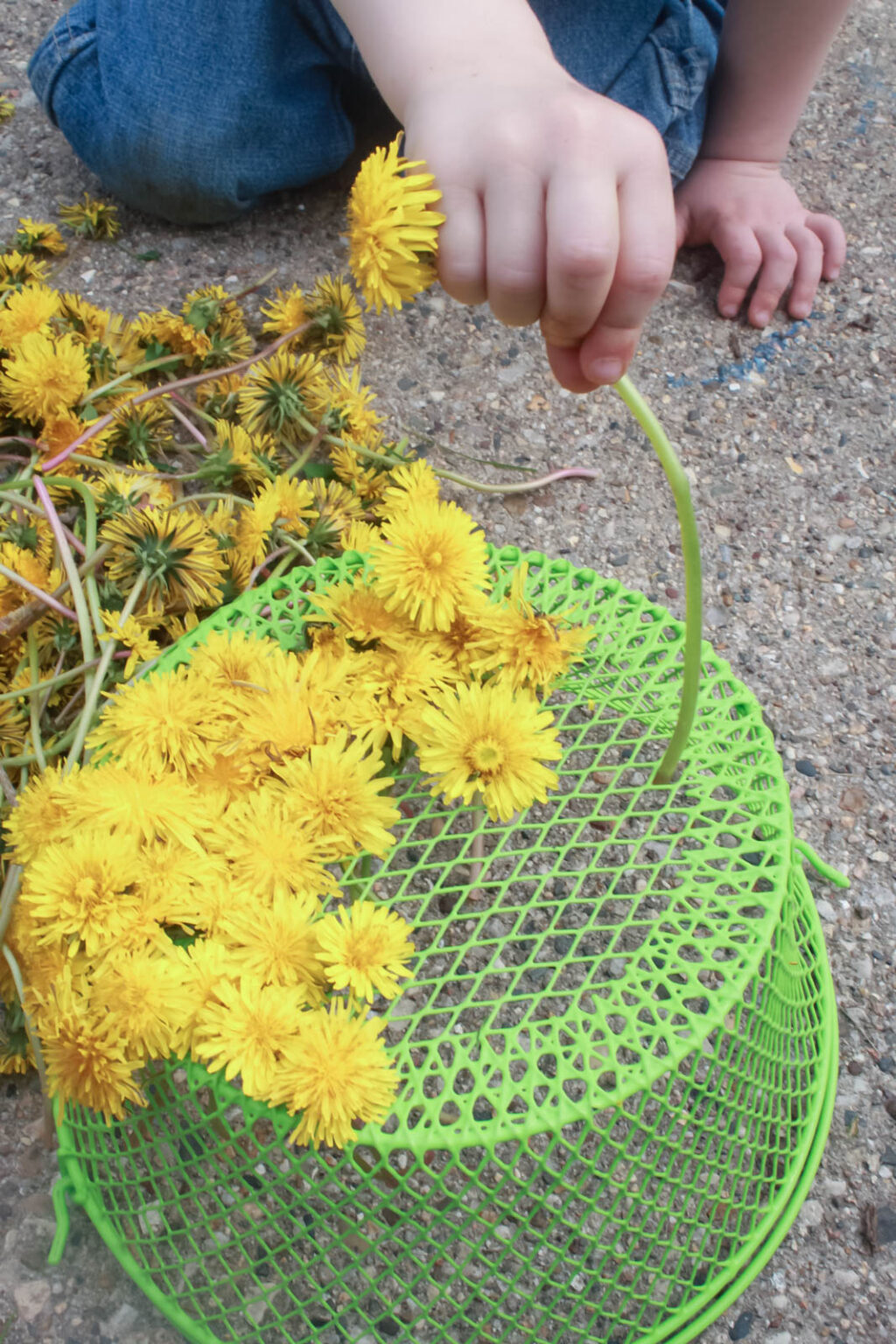 Dandelion Activity Fine Motor Threading - Hands On As We Grow®