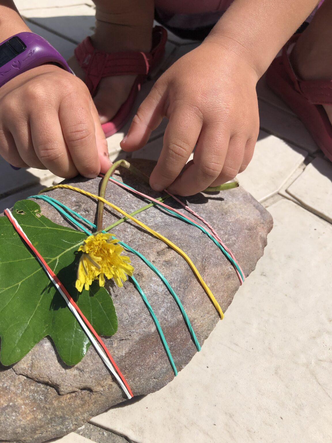Kids Nature Collection Used for Simple Activities | HOAWG