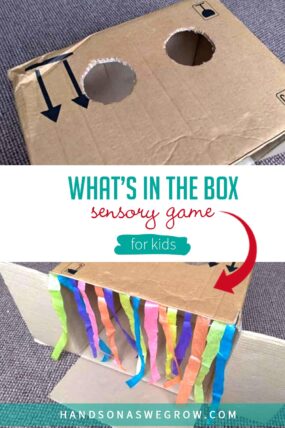 Simple DIY Guess What's in the Box Sensory Game | HOAWG