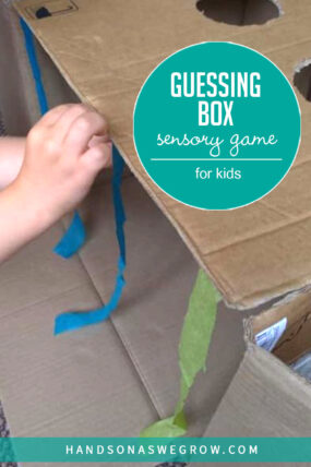 Simple DIY Guess What's in the Box Sensory Game | HOAWG