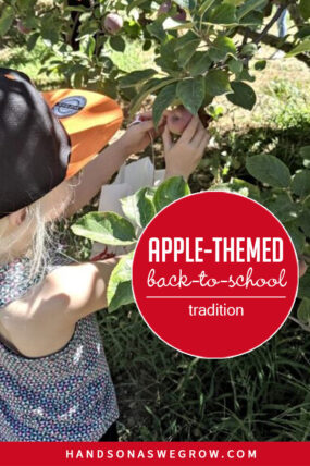 Apple Week: A Back-to-School Family Tradition | Hands On As We Grow®