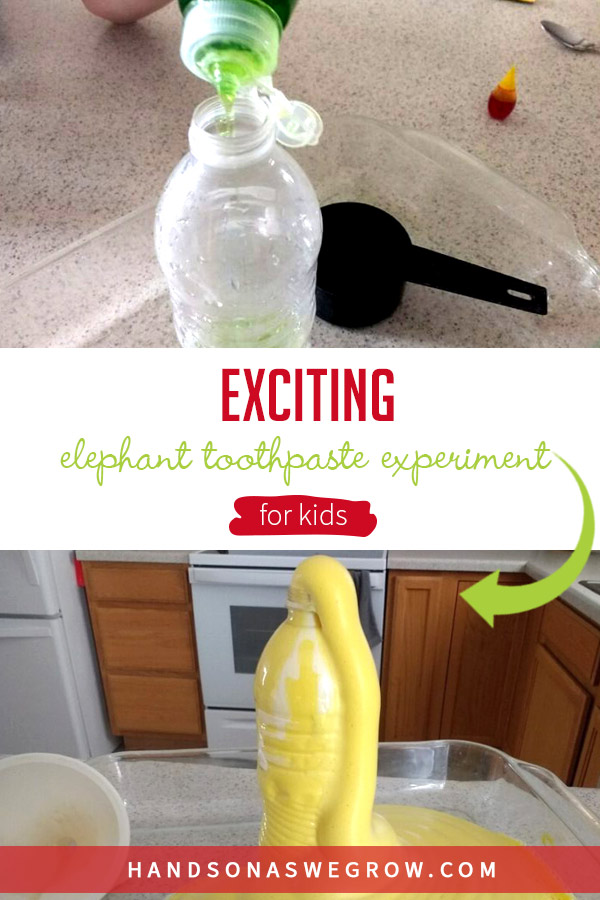 Elephant Toothpaste for Kids Simple Science Experiment | HOAWG