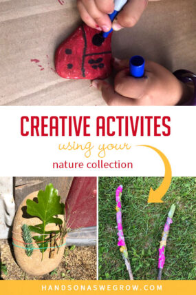 Kids Nature Collection Used for Simple Activities | HOAWG