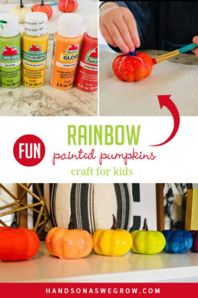 Rainbow Painted Pumpkins for Kids a Fun and Simple Craft | HOAWG