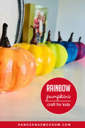 Rainbow Painted Pumpkins for Kids a Fun and Simple Craft | HOAWG