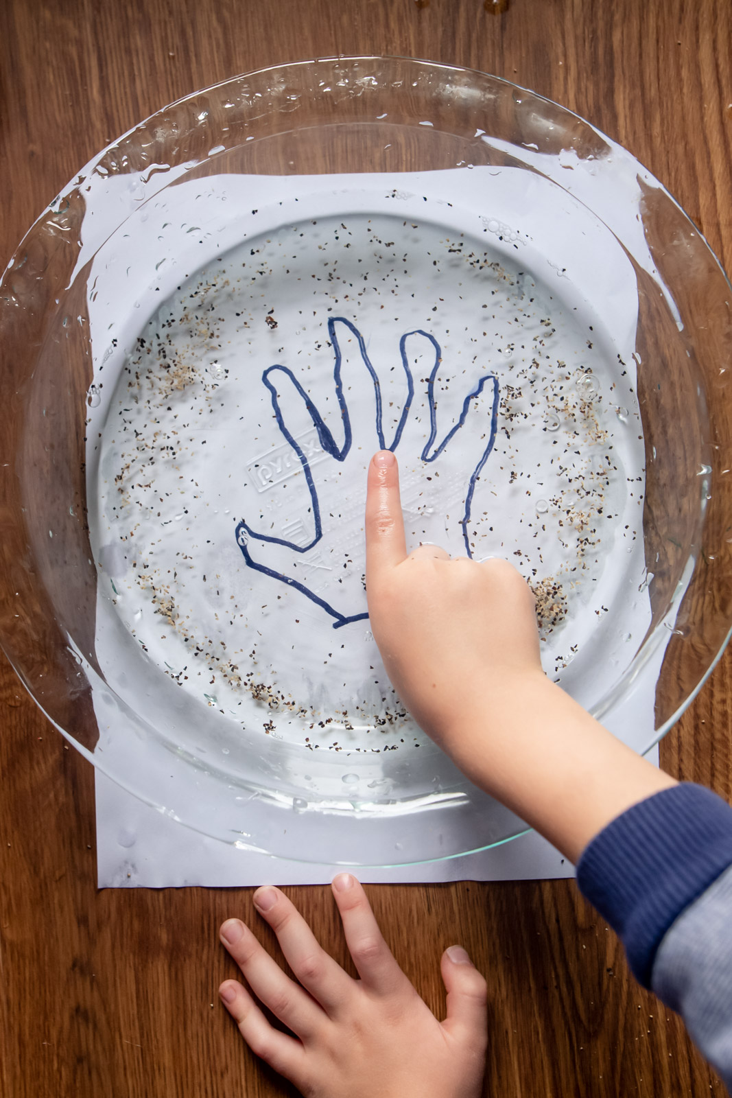 The Importance of Washing Hands Experiment | Hands On As We Grow®