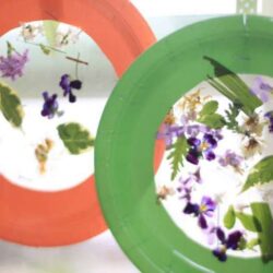 7 Paper Plate Activities for Exciting Preschoolers Fun - HOAWG®