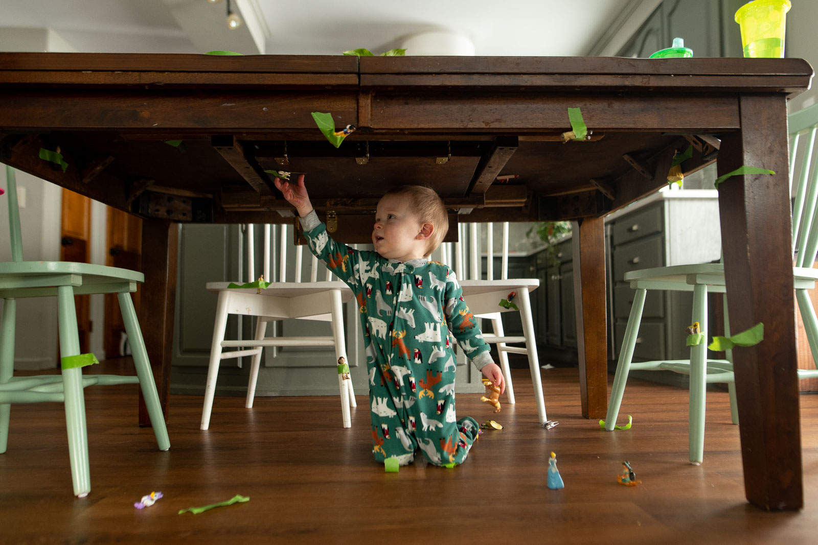 Animal Tape Rescue in Three New Exciting Ways! - HOAWG