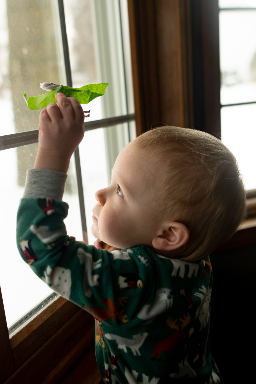 Animal Tape Rescue in Three New Exciting Ways! | HOAWG