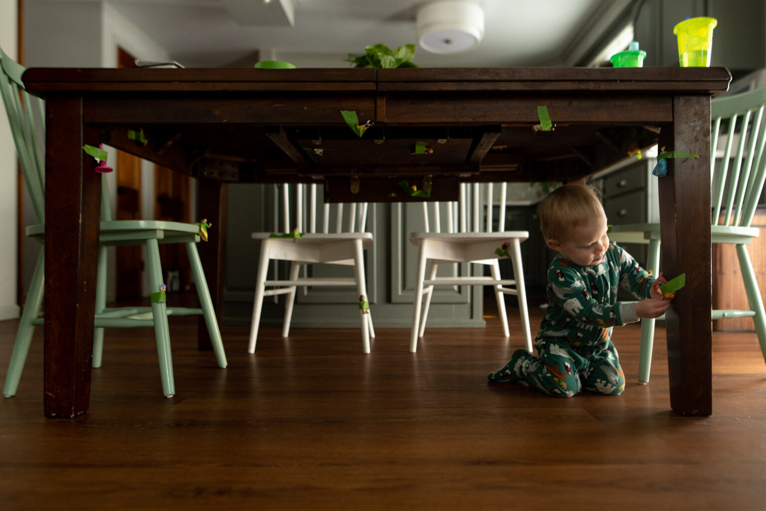 Animal Tape Rescue in Three New Exciting Ways! - HOAWG