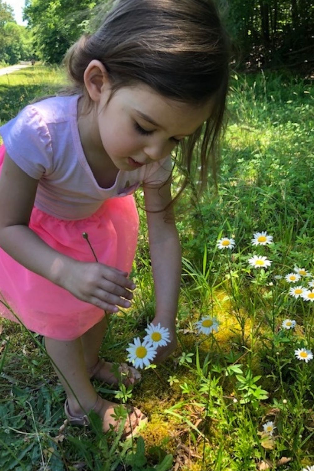 DIY Guess What's in the Box Game: Simple Sensory Activity - HOAWG
