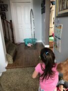 Quick Games to Play with Stuffed Animals - Hands On As We Grow®