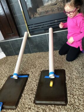 Perfectly Simple Cardboard Tube Activities for the Whole Week - HOAWG