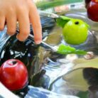 40 Easy Apple Activities for Kids to Experiment, Create & Learn - HOAWG
