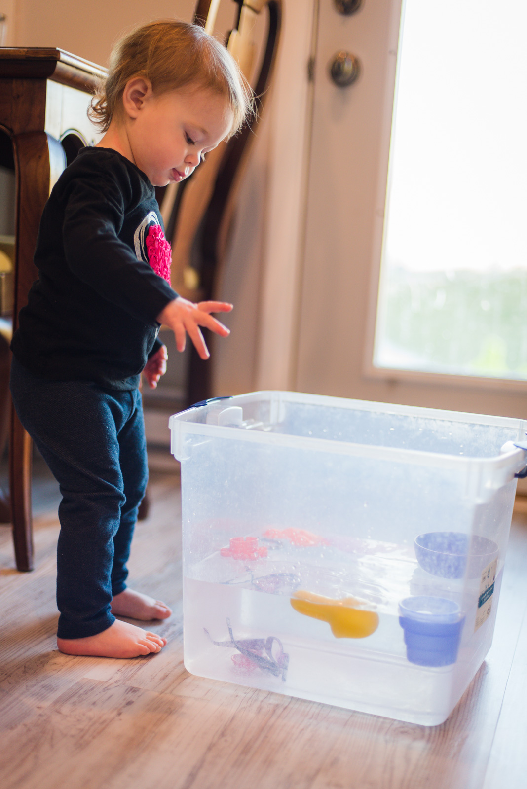 Simple Sink or Float Experiment Perfect for Curious Toddlers | HOAWG