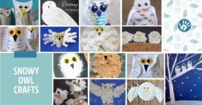 21 Snowy Owl Crafts and Snacks for Kids to Make This Winter | HOAWG