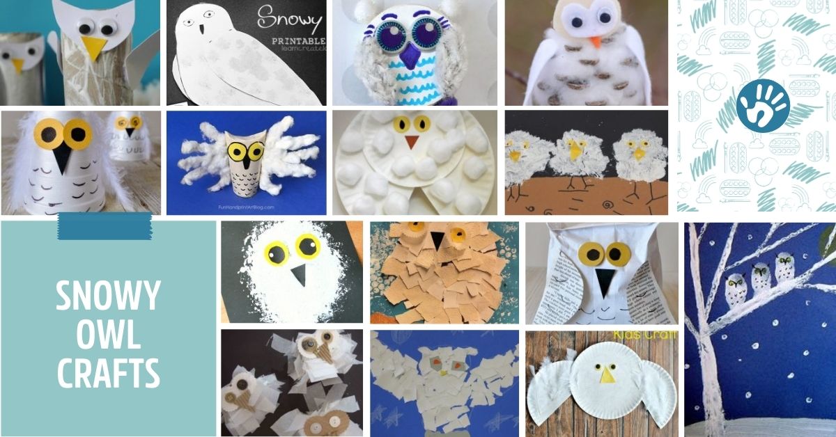 21 Snowy Owl Crafts and Snacks for Kids to Make This Winter | HOAWG