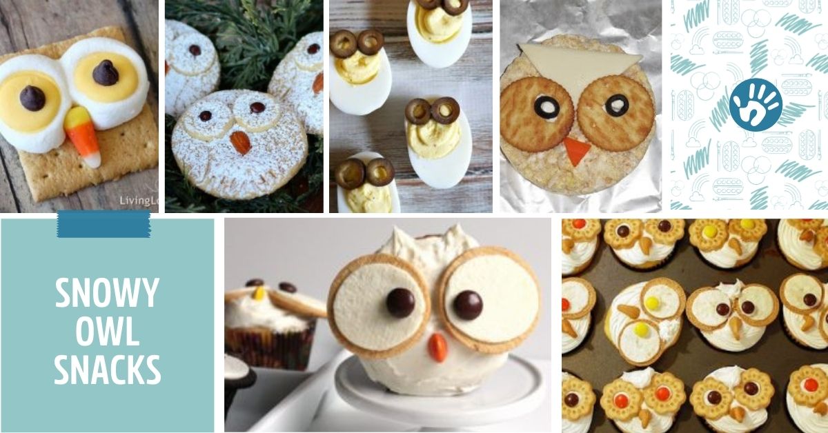 21 Snowy Owl Crafts and Snacks for Kids to Make This Winter | HOAWG