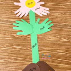 50+ Prized Plant Activities with Simple Seed Crafts & Science Activities