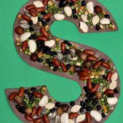 50+ Prized Plant Activities with Simple Seed Crafts & Science Activities