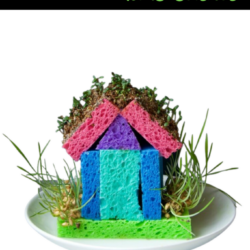 50+ Prized Plant Activities with Simple Seed Crafts & Science Activities