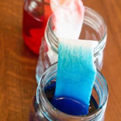 12 Water Experiments for Kids to do This Year that are Easy Peasy & Fun!