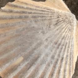 35 Exploding Baking Soda and Vinegar Experiments for Kids of All Ages