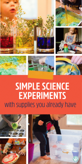 Easy Science Experiments With the Scientific Method - Bradshaw Thichers