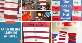 20 Cat in the Hat Activities to Celebrate Dr. Seuss's Birthday