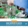 Learn What Dissolves in Water with a Preschool Science Experiment
