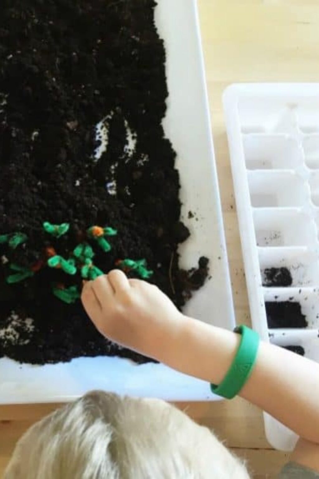 Upcycled Planter Flower Garden for Kids - Hands On As We Grow®