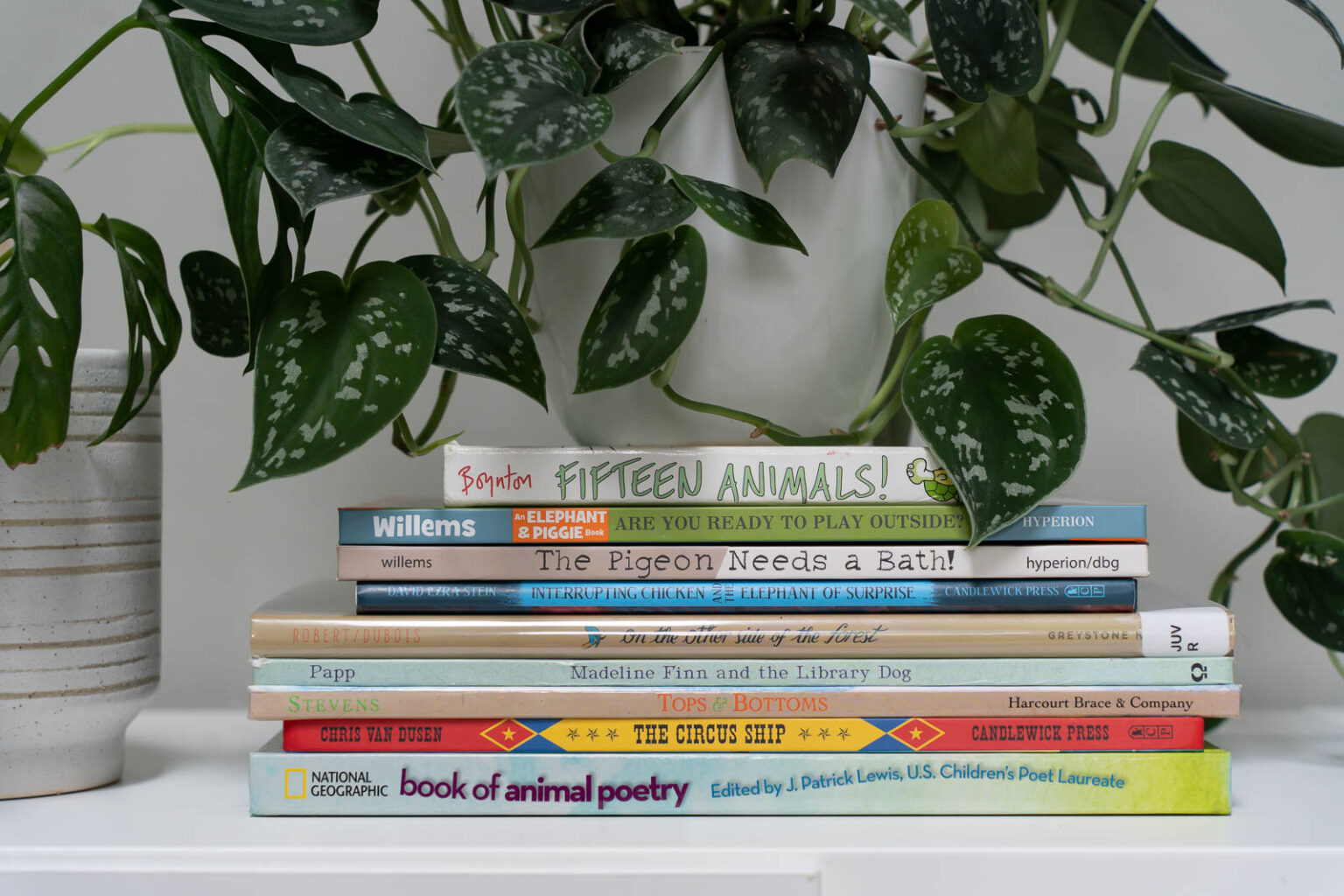 16 Animal Books for Kids That Even Adults Will Enjoy Reading!
