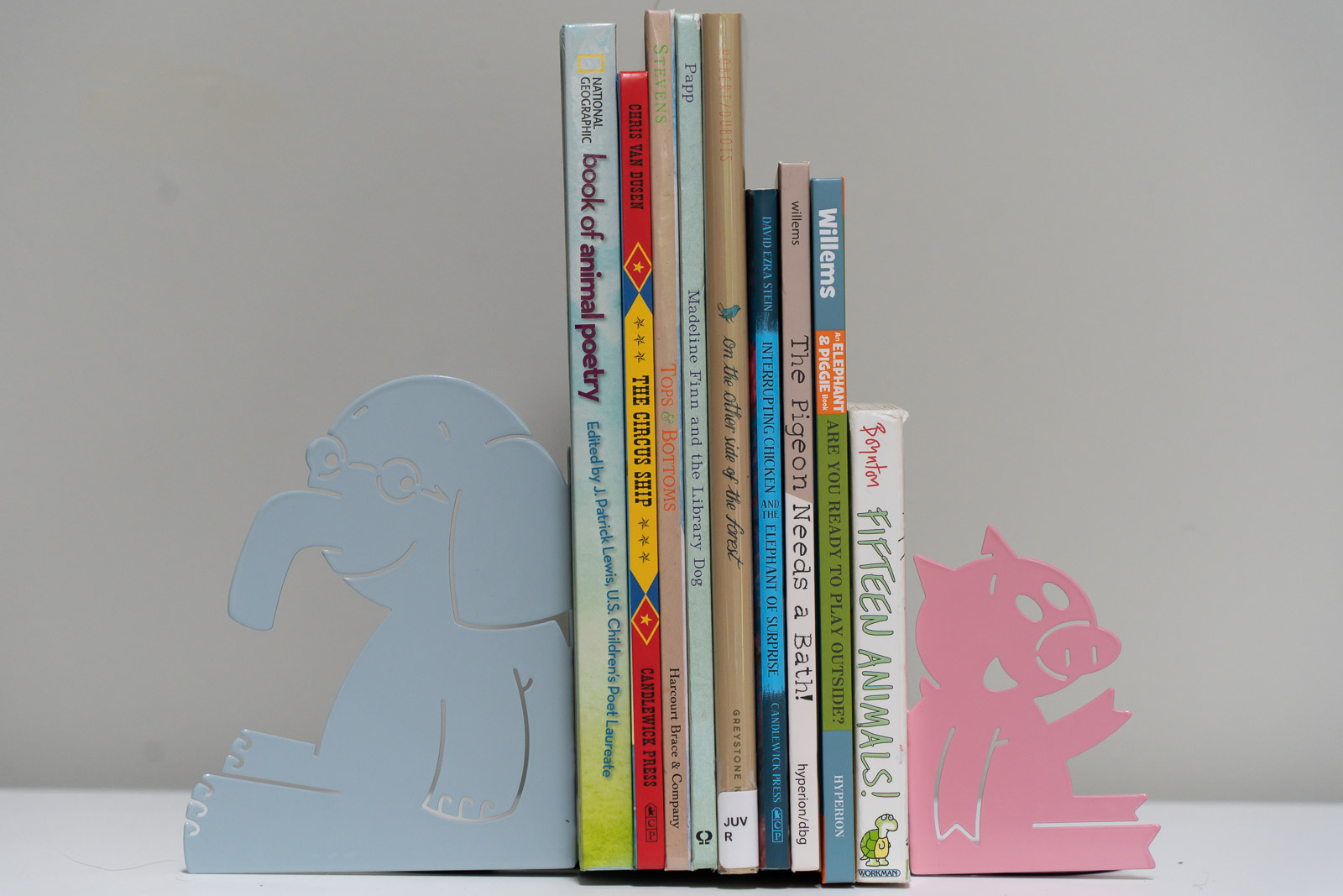 16 Animal Books for Kids That Even Adults Will Enjoy Reading!