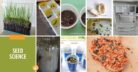 50+ Prized Plant Activities with Simple Seed Crafts & Science Activities