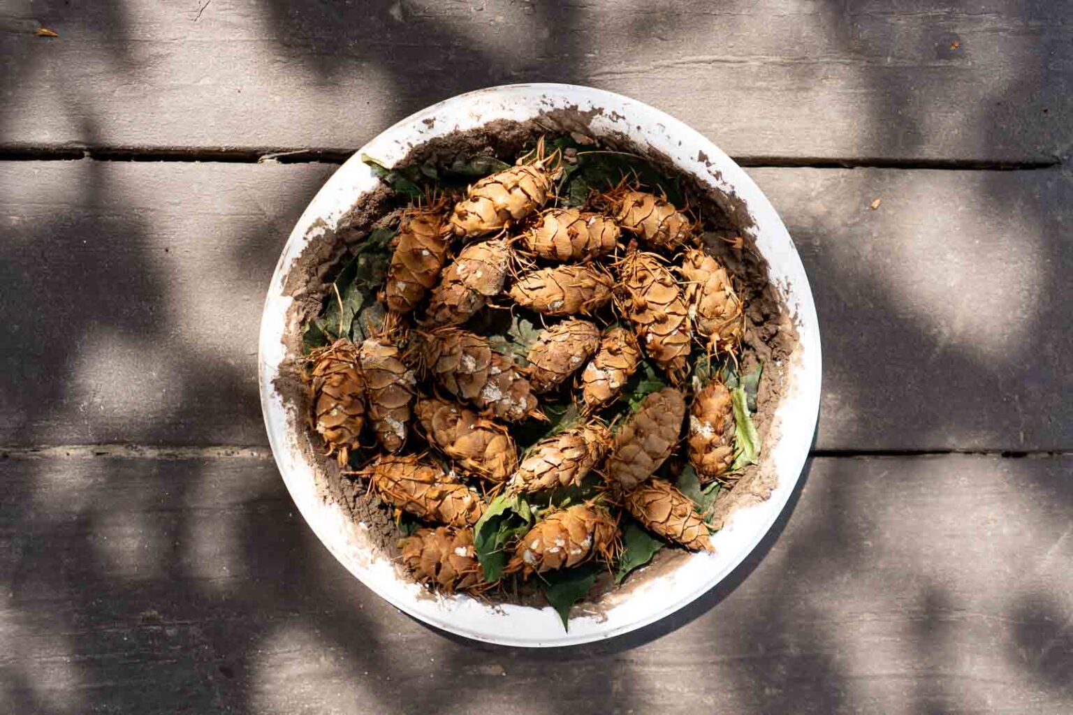 Outdoor Play Cooking: Make a Nature & Mud Pizza - HOAWG®️